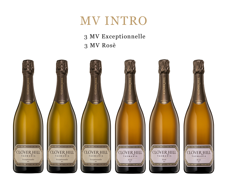 MV Intro 6 Pack – Clover Hill Wines