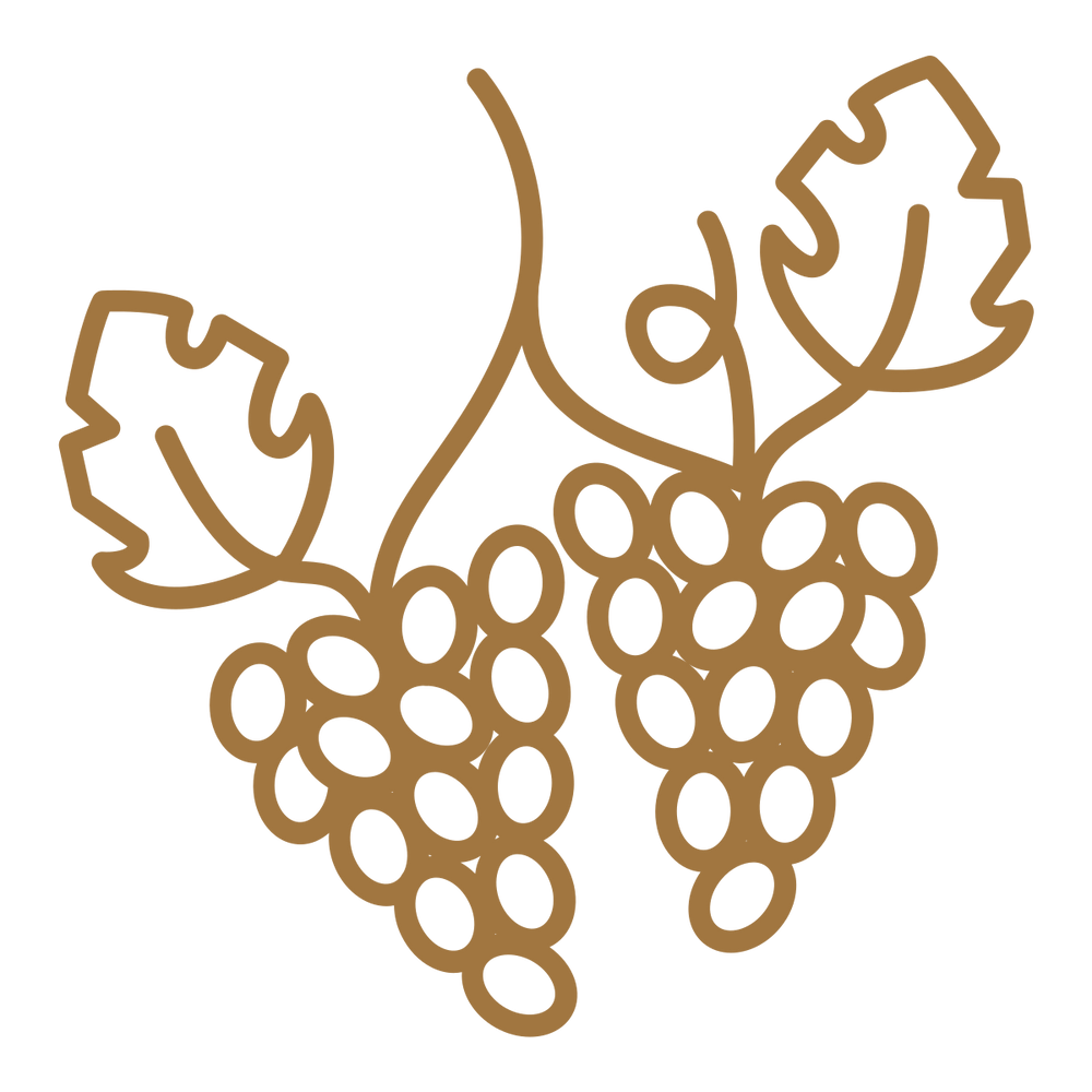 Clover Hill Tasmania Exceptionnelle MV – Clover Hill Wines